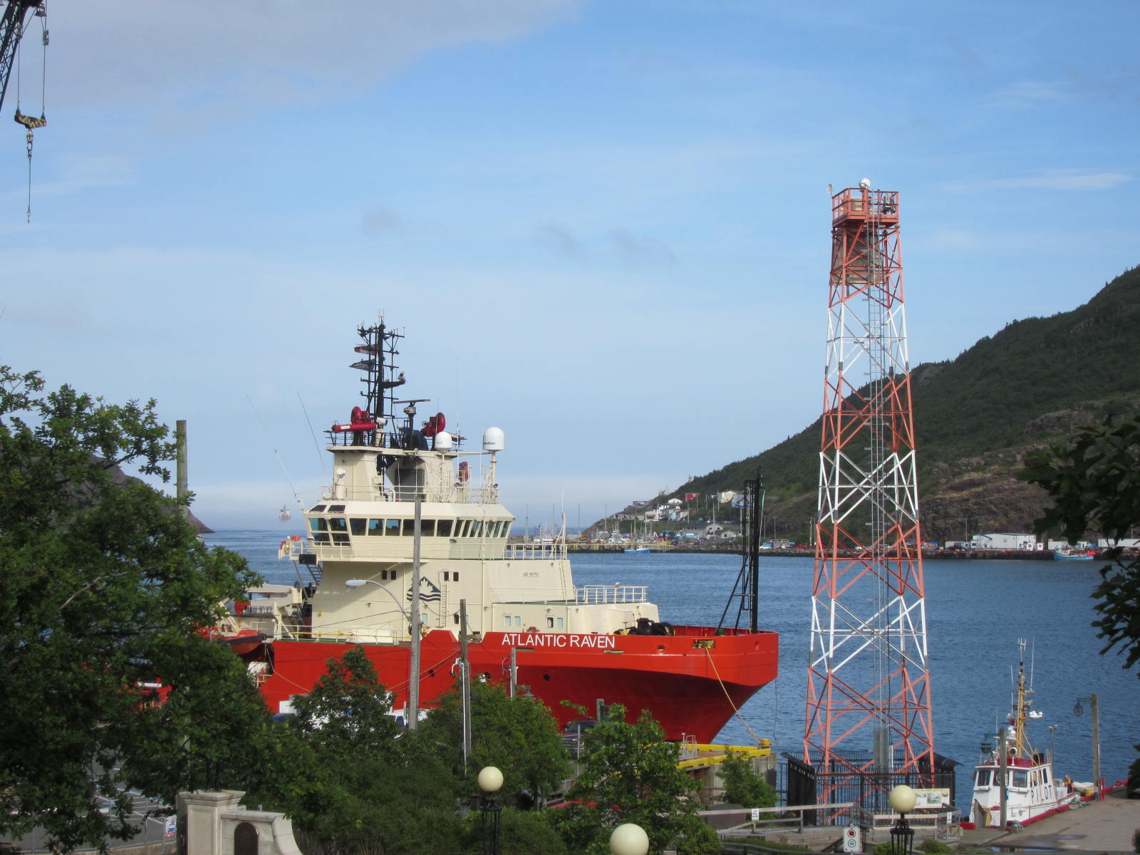 Rook's Nest: Safe Harbour