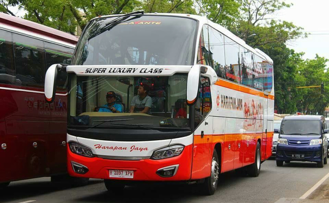 EAT SLEEP BUS : Trend Body Bus SHD, Karoseri Tentrem Rilis Avante Super ...