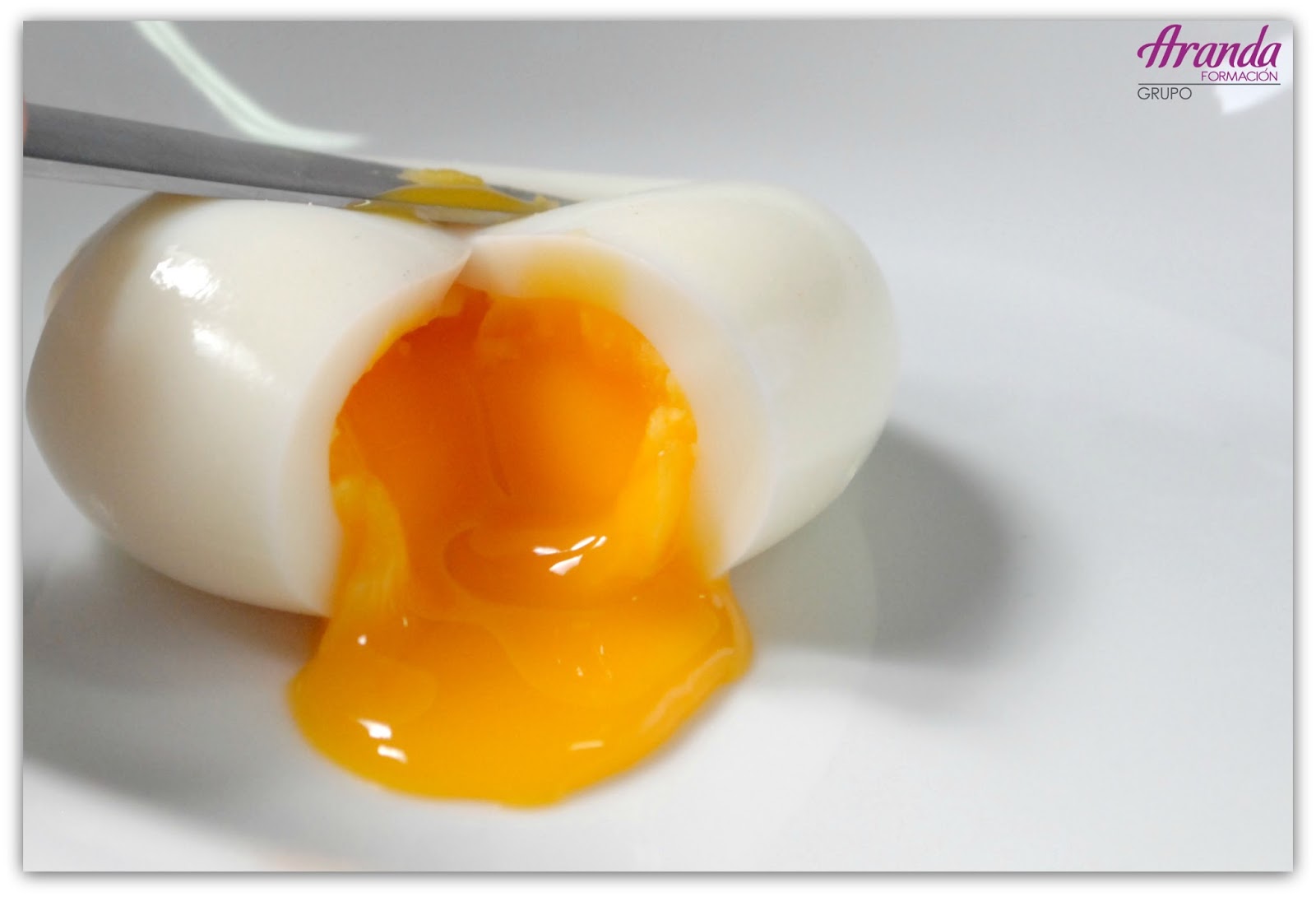 El Gourmet Urbano: Escuela de Hostelería Aranda Formación nos presenta ...