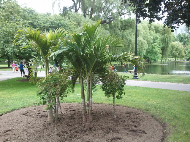 LucidSportsFan: 2012-06-24