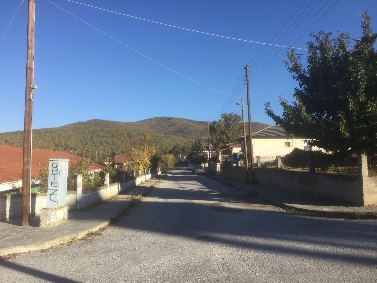 ΛΕΧΟΒΟ ΑΜΥΝΤΑΙΟΥ ΦΛΩΡΙΝΑΣ και ΚΟΡΕΣΤΕΙΑ ΚΑΣΤΟΡΙΑΣ : Φωτογραφικό υλικό ...