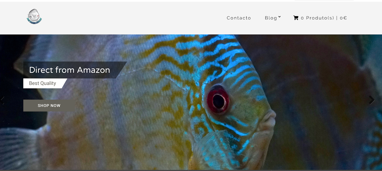 Discus Since 1987 : Santarem Discus Plus - New project in Europe