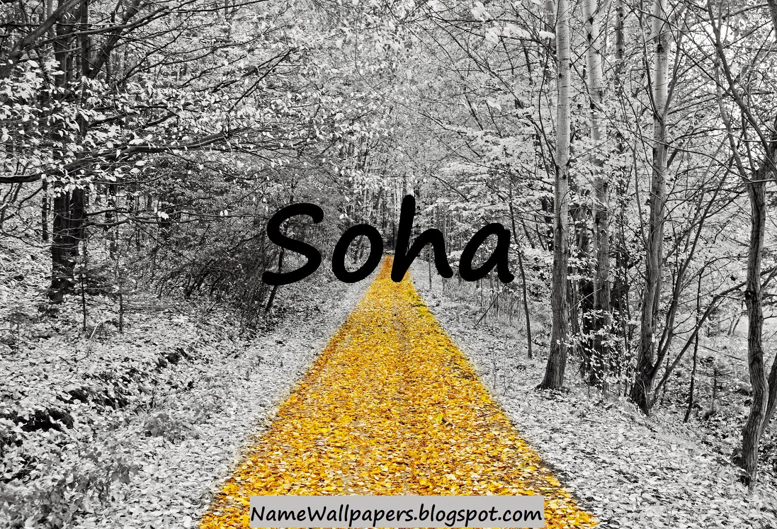 Soha Name Wallpapers Soha ~ Name Wallpaper Urdu Name Meaning Name ...