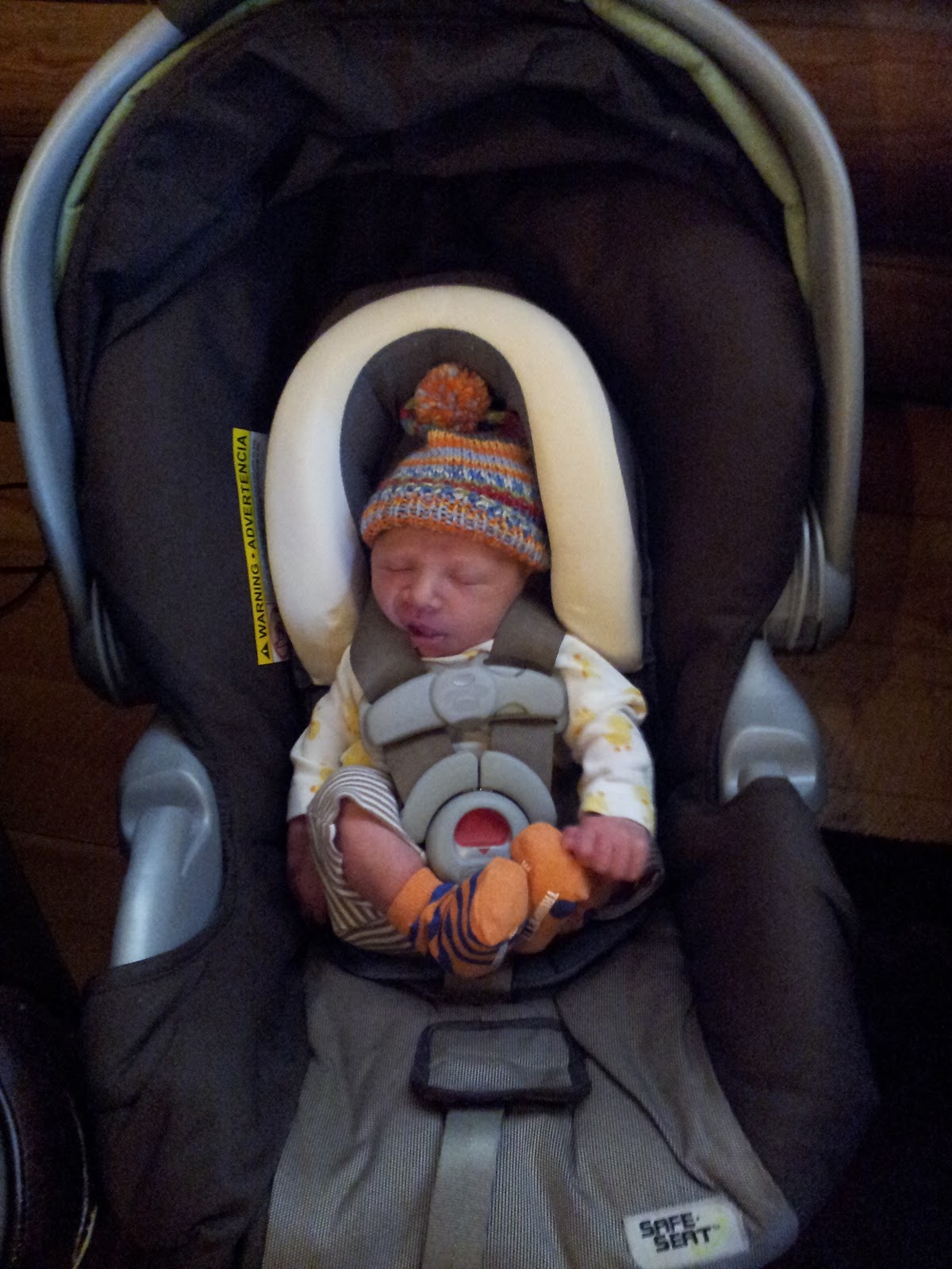 The Griffin Family: INCREDIBLE shrinking baby