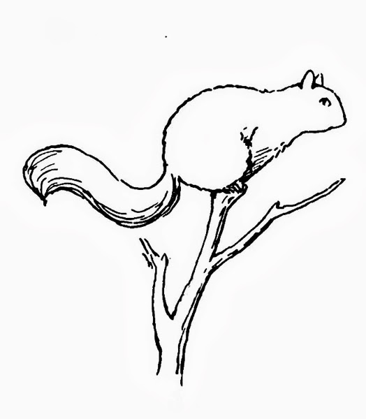 Piešiniai ir darbeliai: Spalvinimo paveiksliukas - Voverytė ant šakos