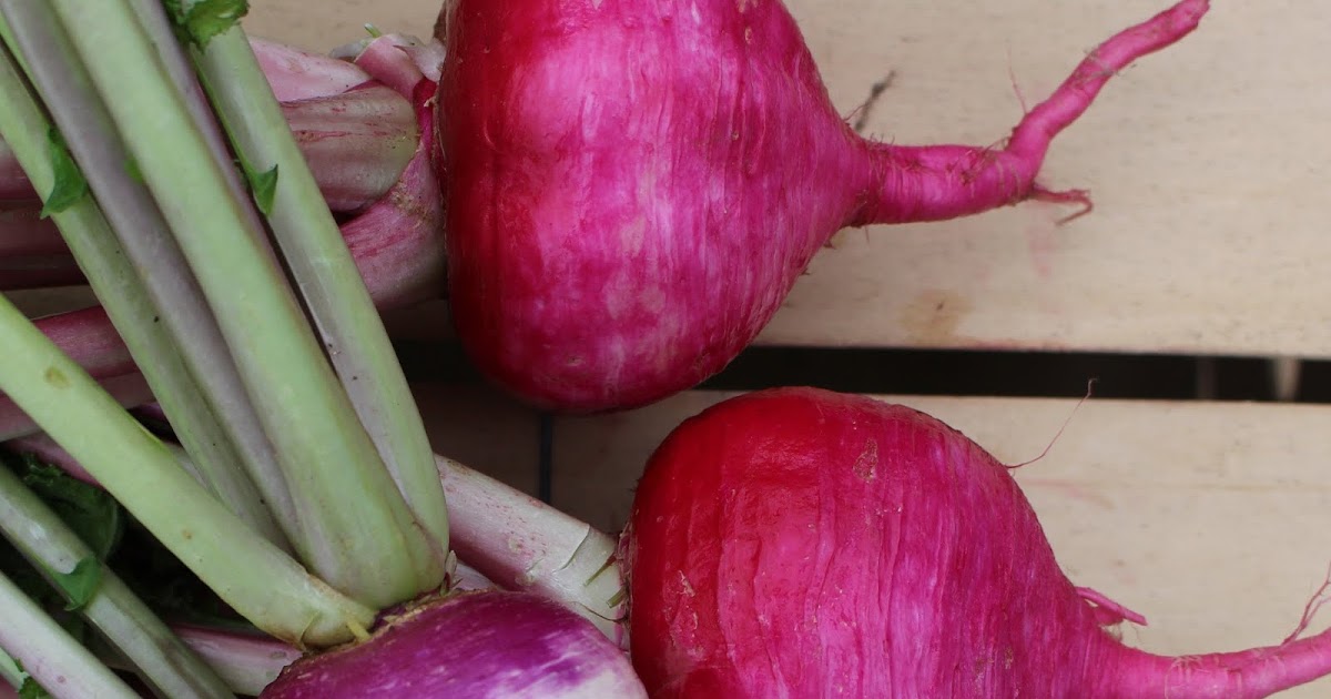 Harmony Valley Farm: Vegetable Feature: The Many Colors of Storage Turnips