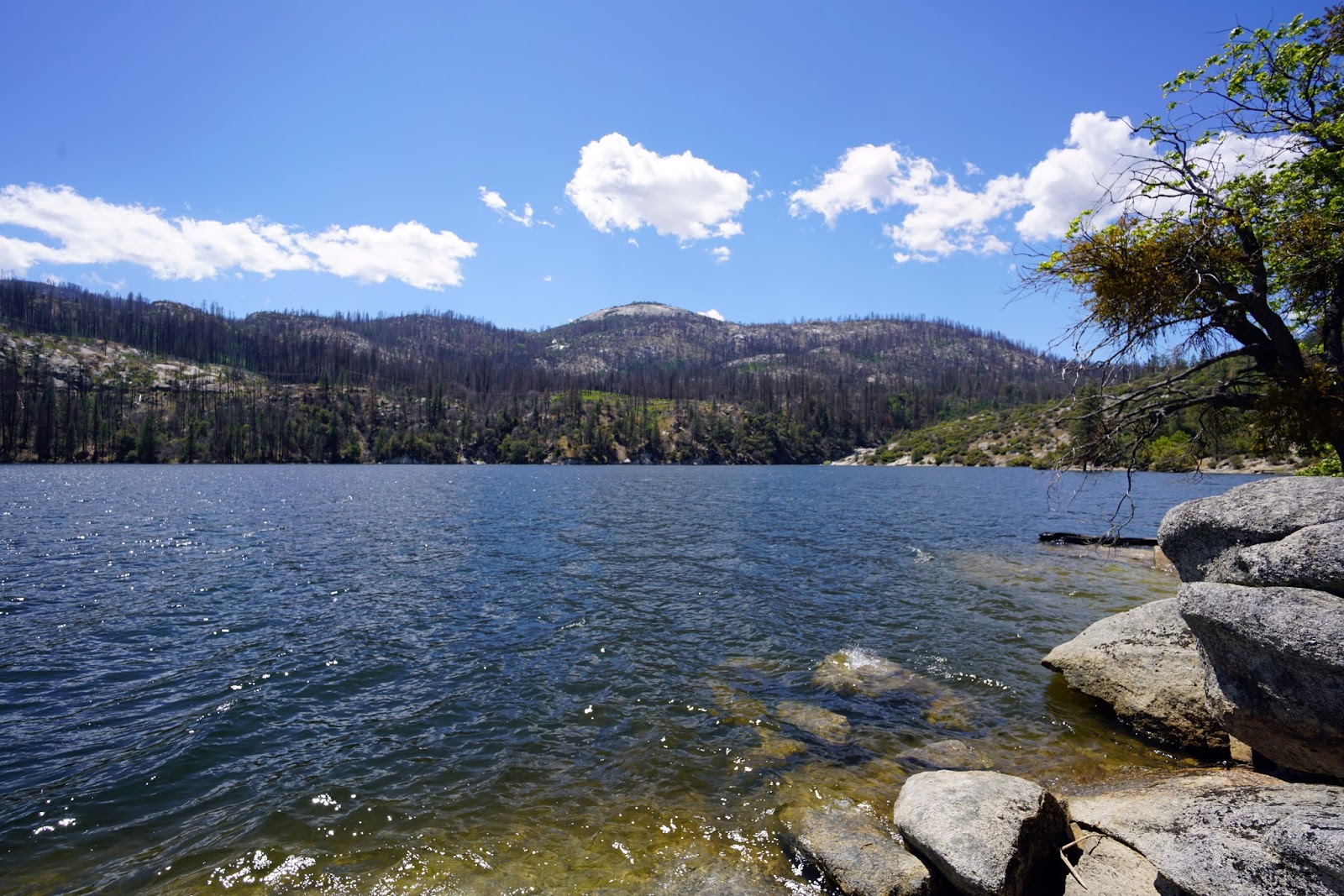 Mid Sierra Musings: Mile High Overlook and Mammoth Pool Reservoir