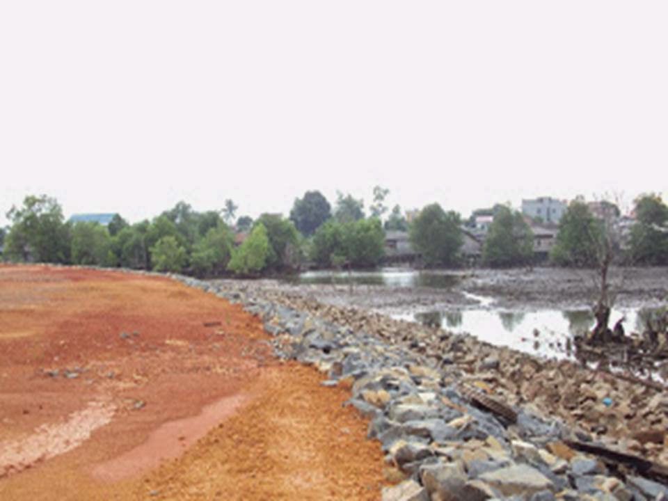 KOMUNITAS PENYULUH PERIKANAN: PERANAN EKOSISTEM ESTUARIA