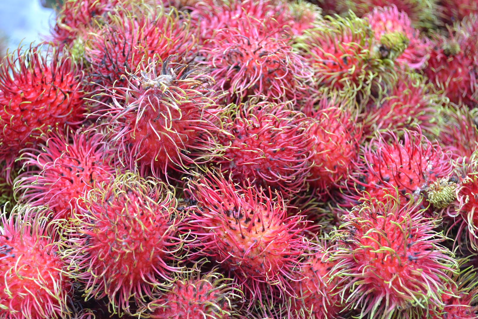 Read My Taste Buds: Fruit - Thailand