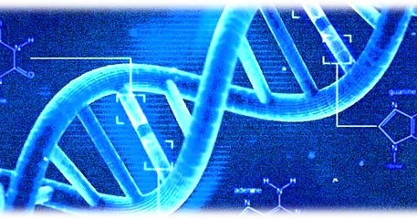 BREVE HISTORIA DEL ADN