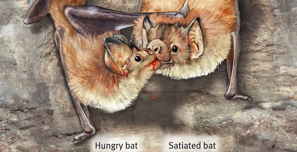 Natural Right and Biology: Logically Moral Animals