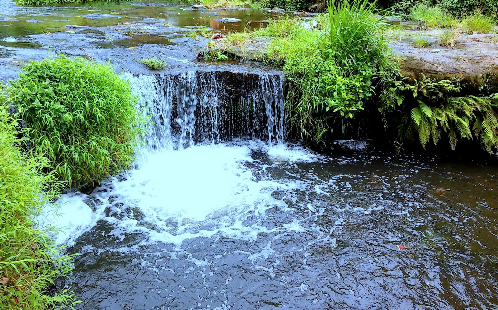 Batangas Travel Destinations and Nature Tripping - moredantravels