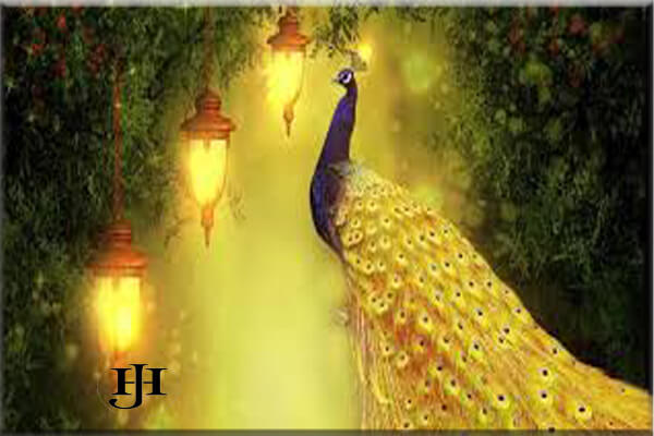 The Golden Peacock - Holy & Joly