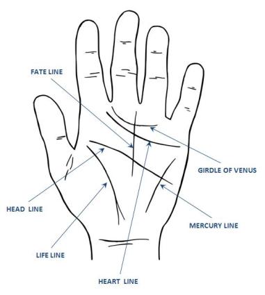 what is palmistry, concept of fate, effect of lines on our life, stars ...