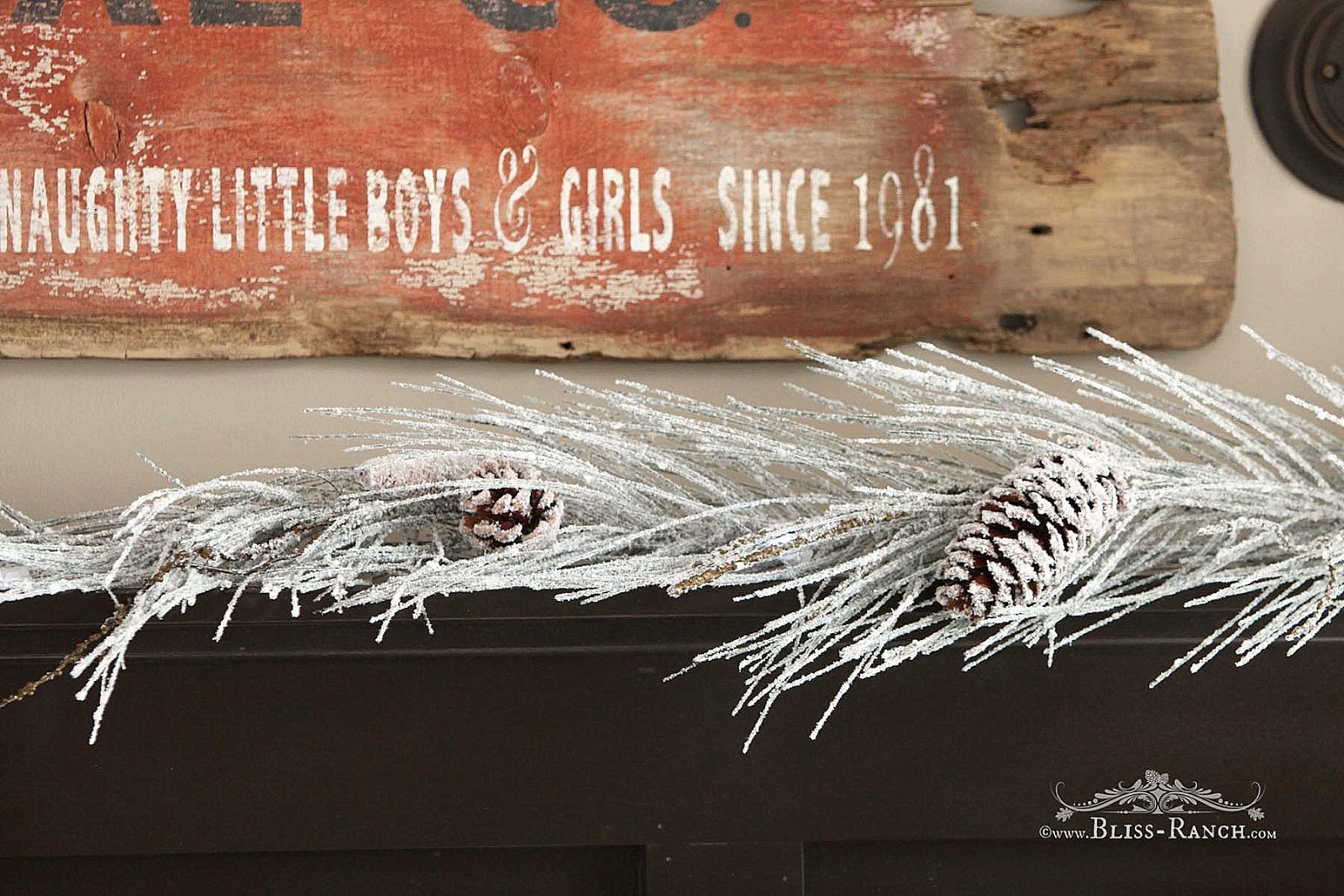 Bliss Ranch: Long Needle Pine Garland for Winter