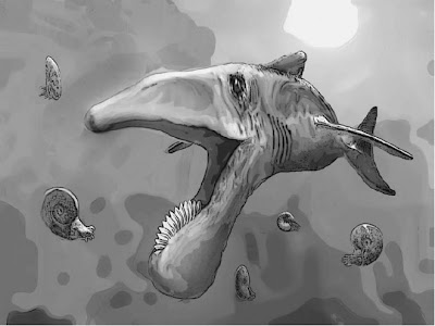 Life Before the Dinosaurs: Helicoprion (Part 2).