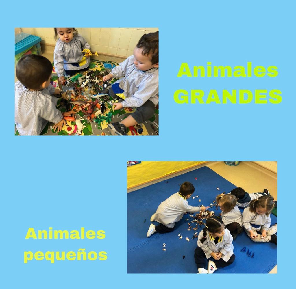 Historias de Infantil Cluny: LOS RINCONES DE LOS ANIMALES
