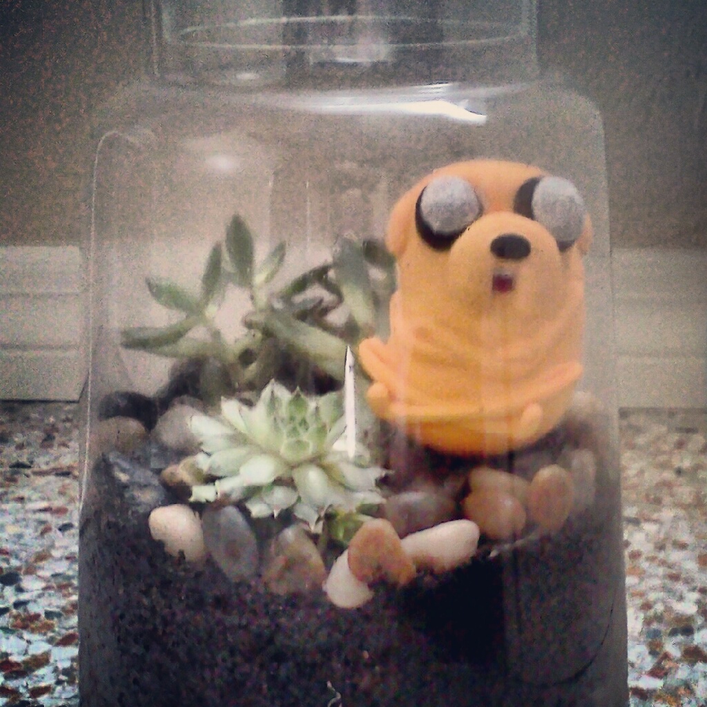 Confetti Monster Schemes: Collection #9: Adventure Time!