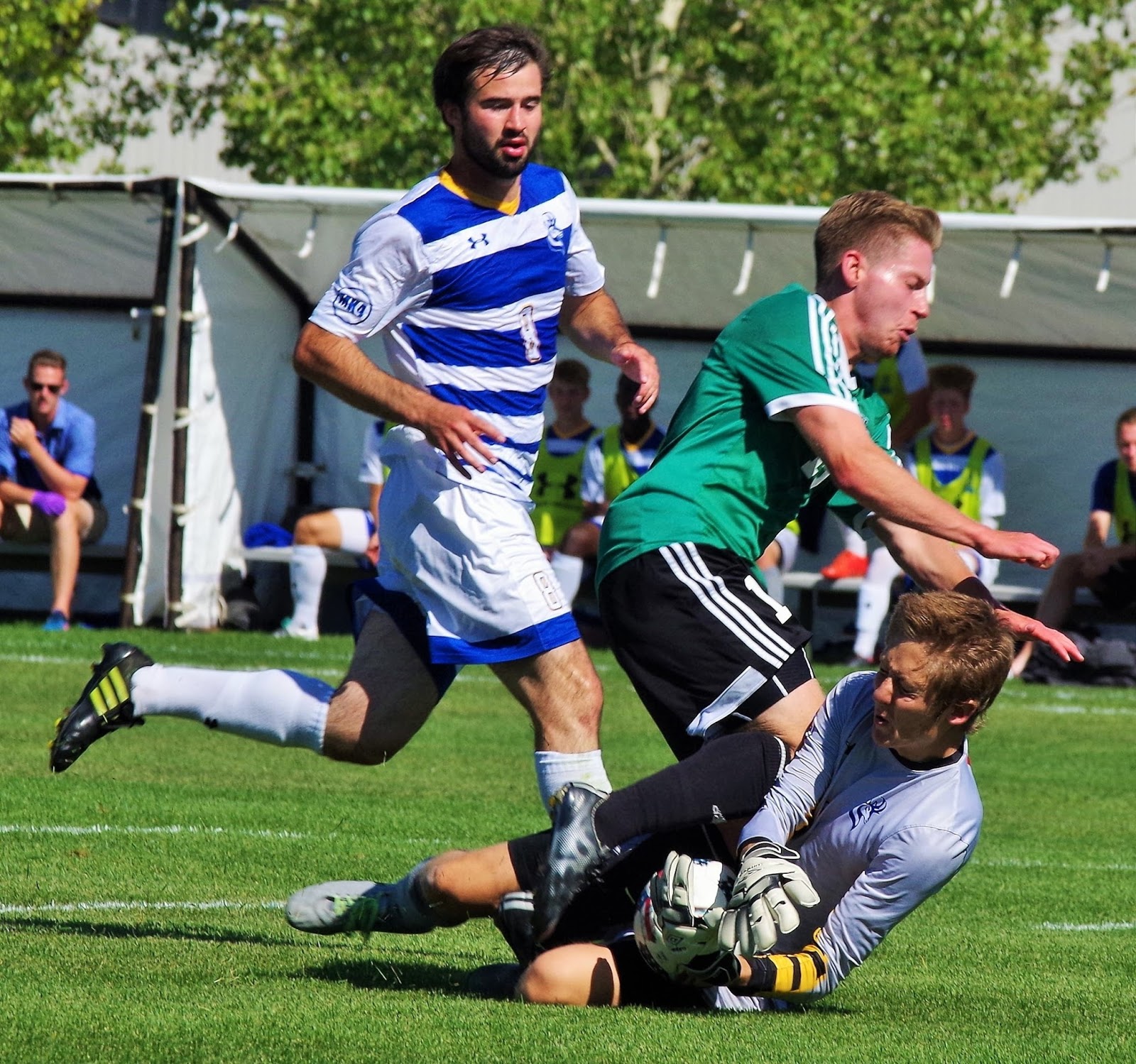 Stanks' Sermon: Huskies look sweet on the pitch