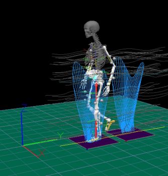 Estudando BioMecânica: Que historia é essa de biomecânica?