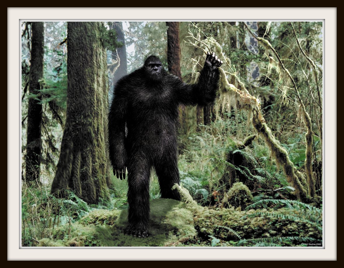 TOP 10 : LOS CRIPTIDOS MAS FAMOSOS | Lo mejor de lo mejor