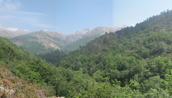 À Procura de Walden: Crianças, Natureza e Fins-de-Semana