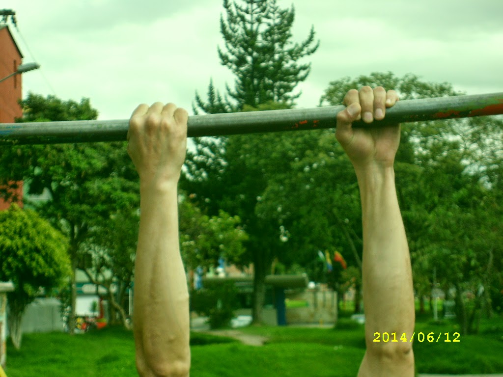 Agarres Para Practicar Gimbarr: - Gimbarr Bogota