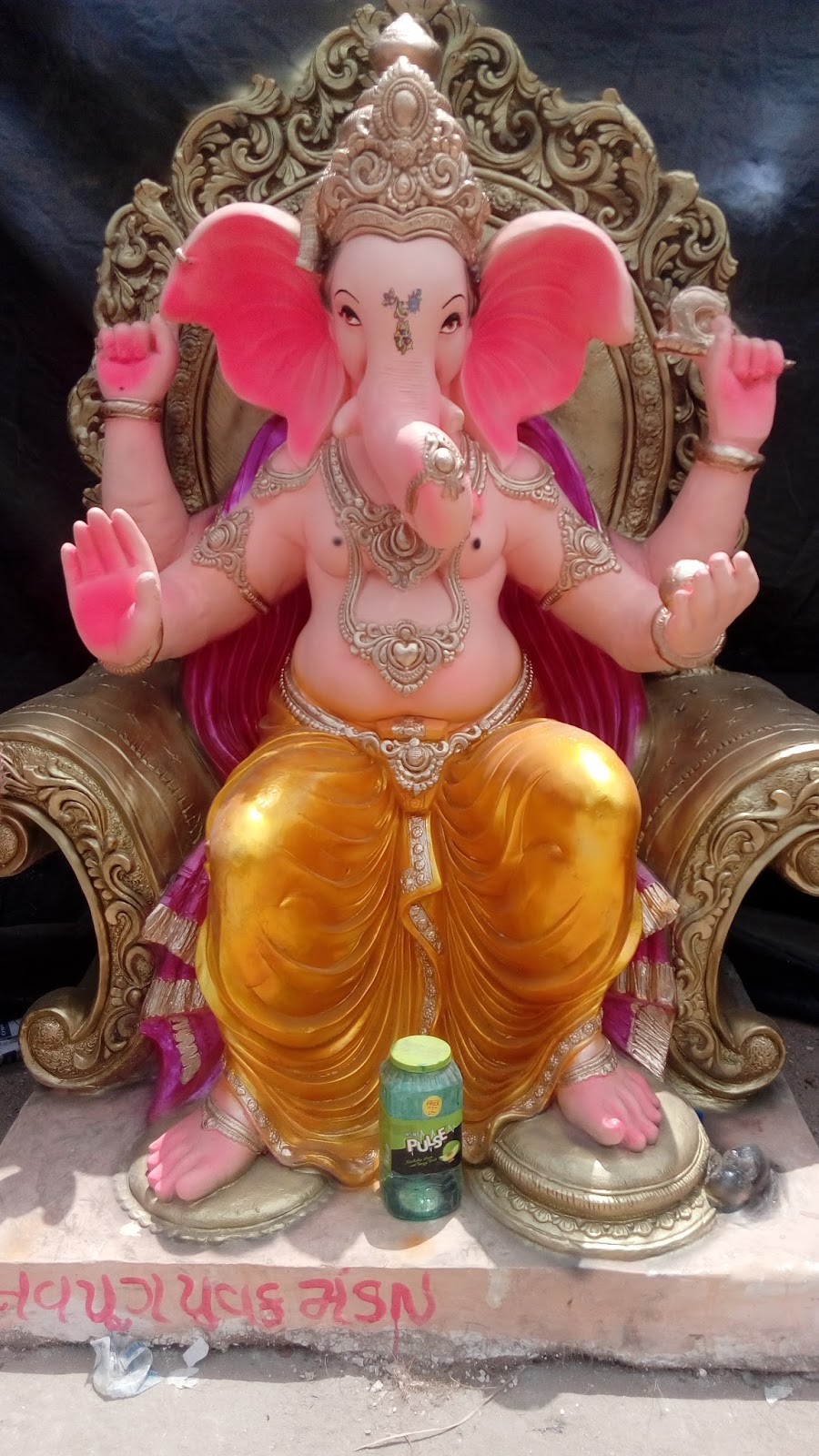 Ganesh Chaturthi Special Different Types of Idol Pictures