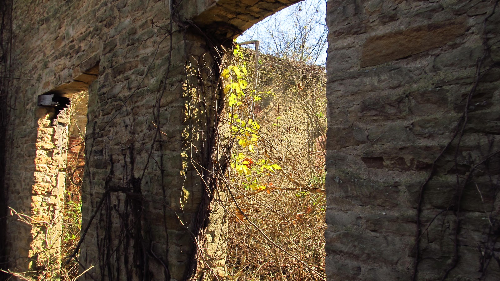Old Industry of Southwestern Pennsylvania : Orient Mine and Coke Works