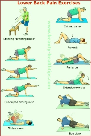 Lower Back Pain Exercises