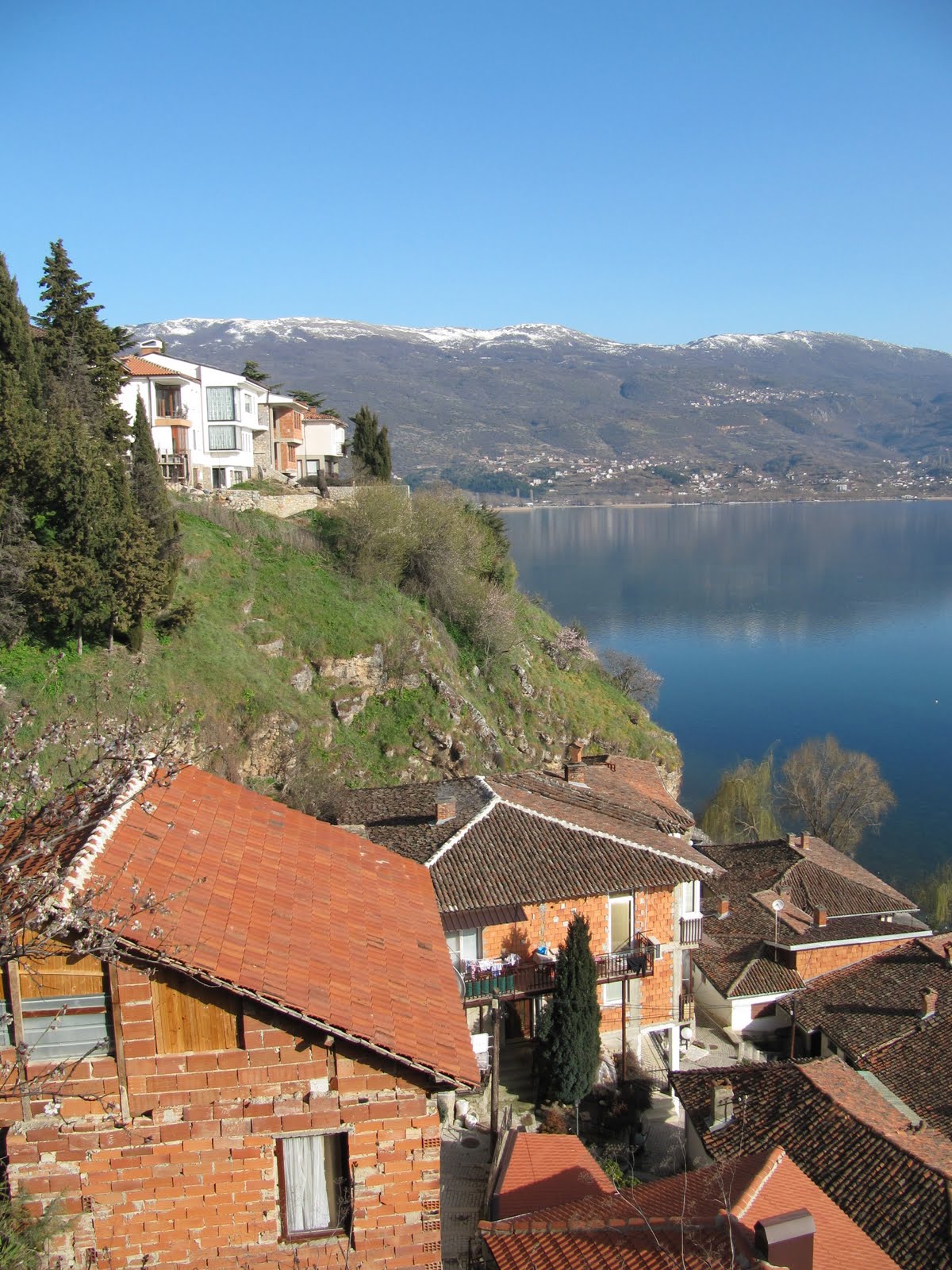 A SERBIAN TIGER: Ohrid, Macedonia