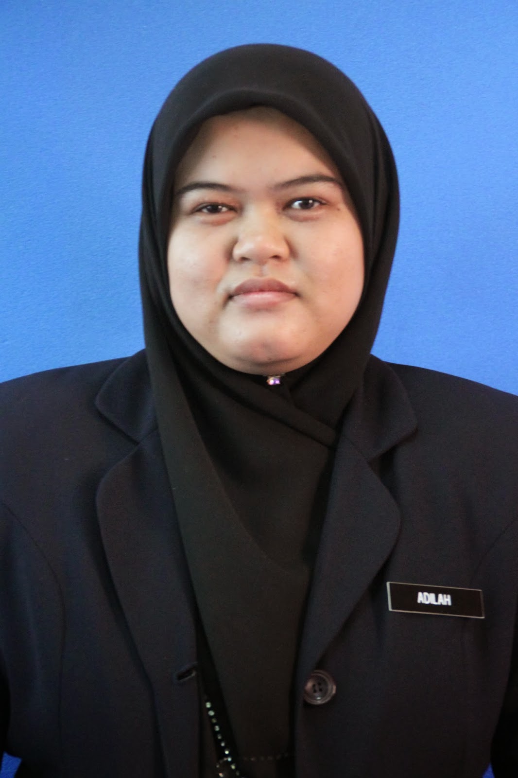 SK DATUK USMAN AWANG: KAKITANGAN SOKONGAN