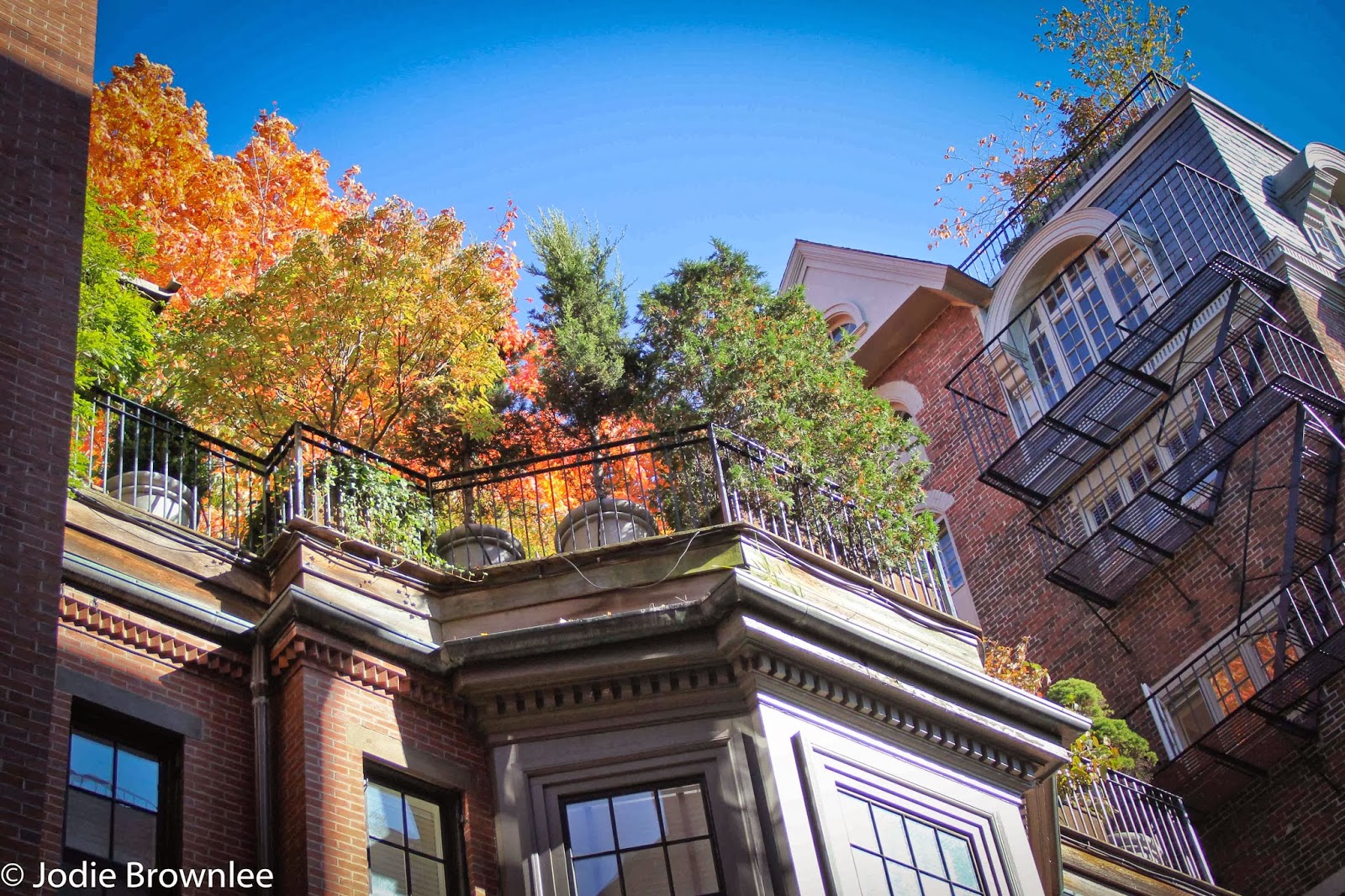 The Write-Aholic: Boston Walking Tour: Beacon Hill
