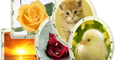 How to Add Photo Frame Effect to Images using Pure CSS