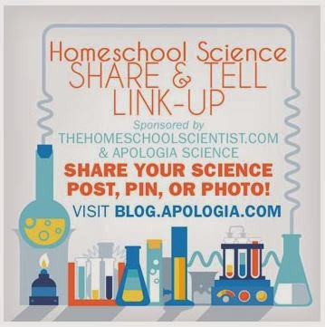 "Be The One" : What Does Science Look Like In Your Home?