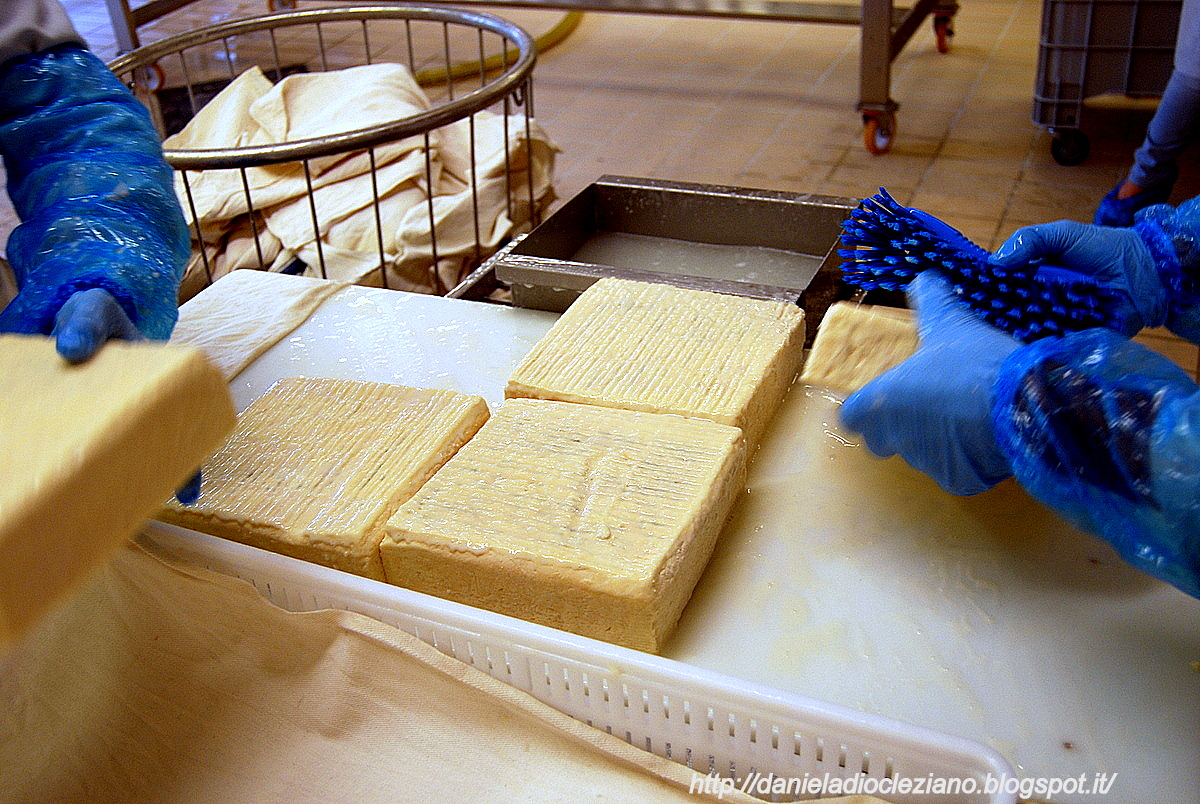 MAURI IL PIACERE DEL FORMAGGIO 100% ITALIANO | Daniela&Diocleziano