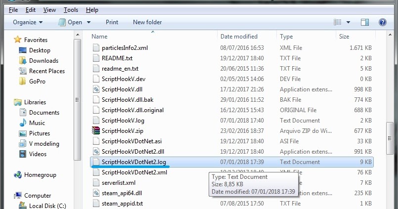 ScripthookVDotNet and NIBMods menu troubleshooting