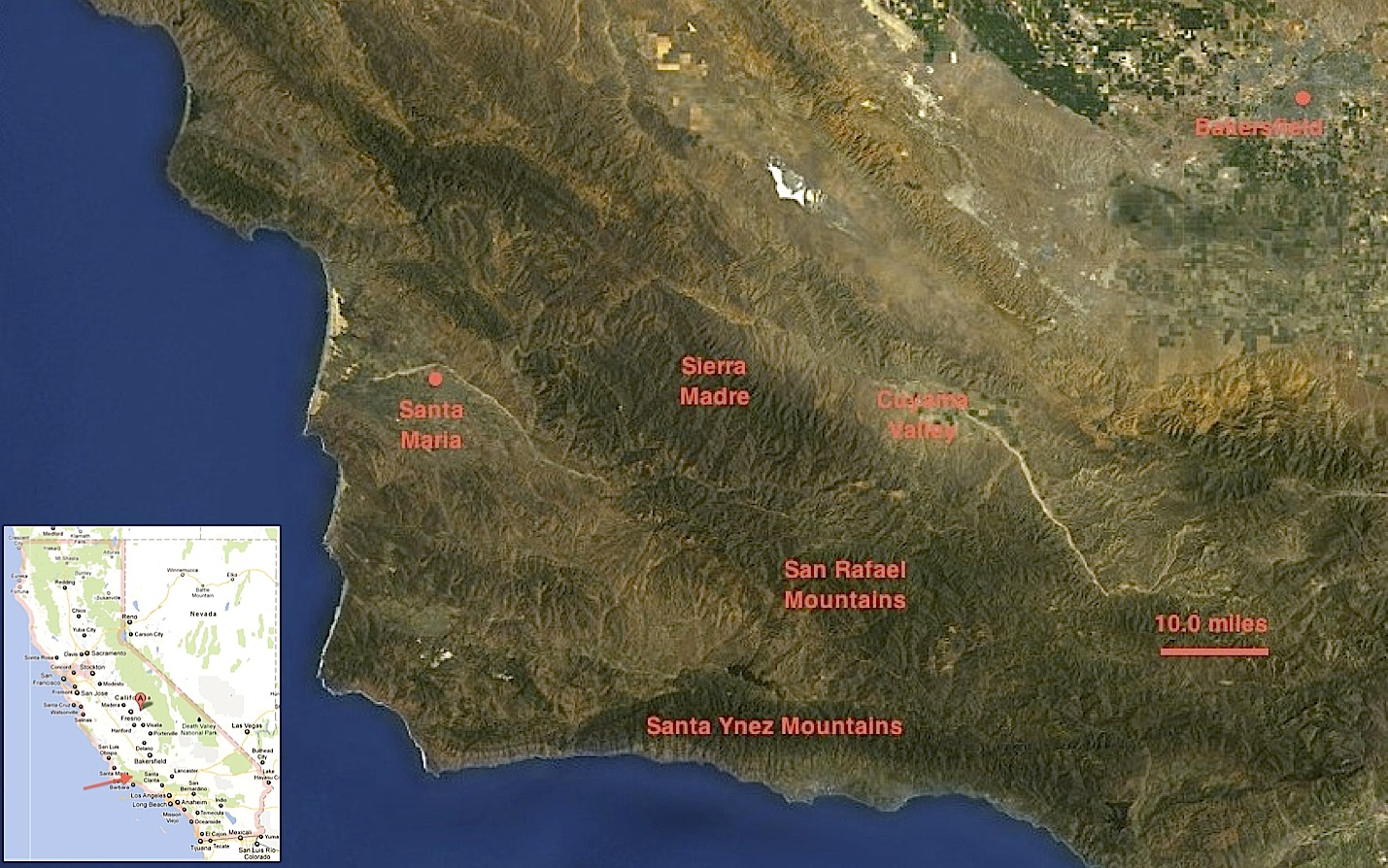 In the Company of Plants and Rocks: Plants and Rocks: Vegetation mosaic ...