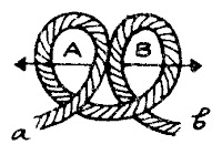 Ensiklopedia Pramuk: Tali temali : Simpul Erat, Simpul Kembar, Simpul ...