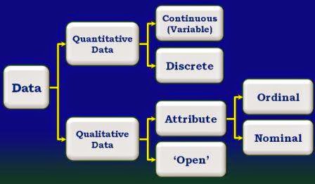 WikiAssignments - School of Information System, BINUS University: Jenis ...