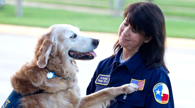 White Wolf : Last Known Living 9/11 Search & Rescue Dog Honored With ...