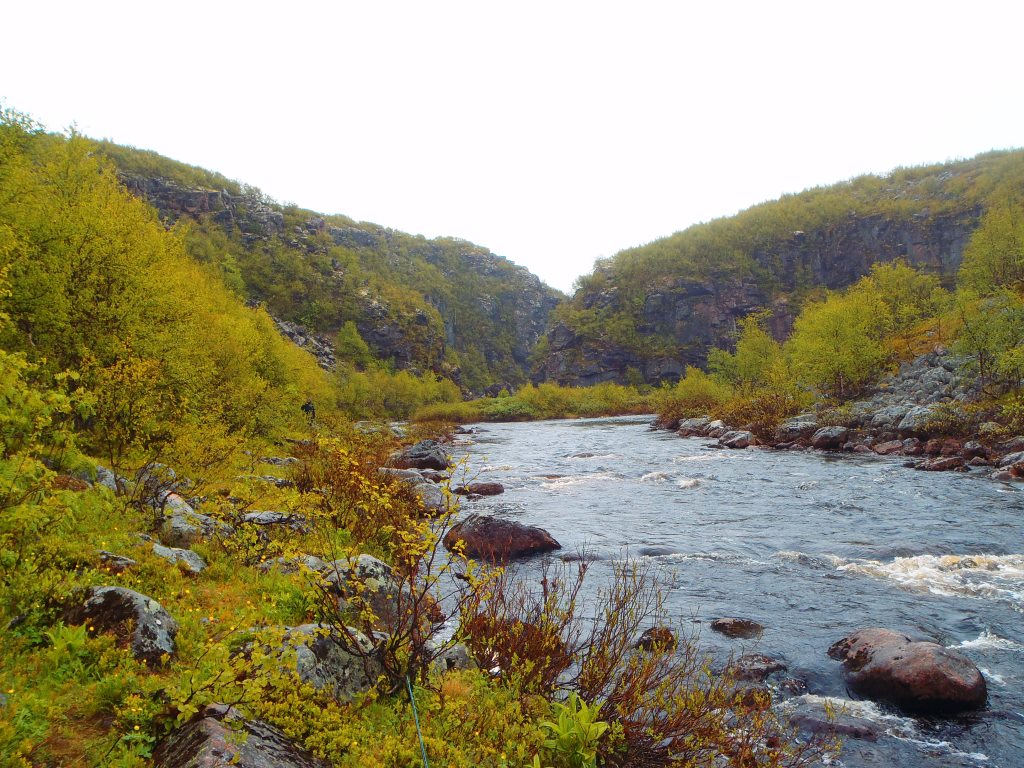 Roxtons Yokanga Blog: Gremikha first week