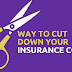 Best Way to Cut Down Your Insurance Cost - INSURANCE PROFESSIONAL