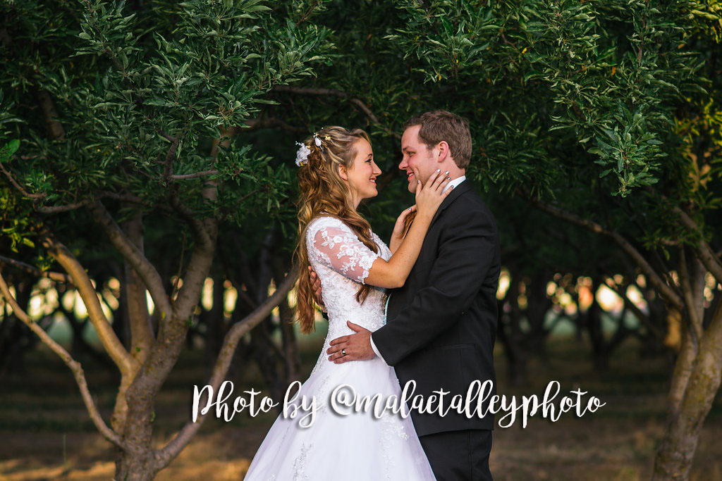 Angela Talley Art and Animation