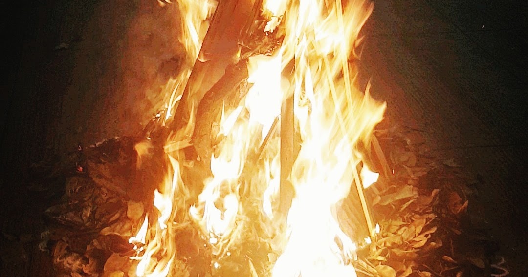 Bhakti Diaries : Holi and other unholy things ...