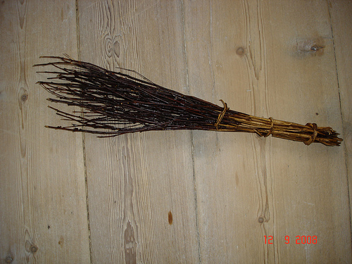 Hermione's Heart: From the Top Shelf - An Introduction to the Birch