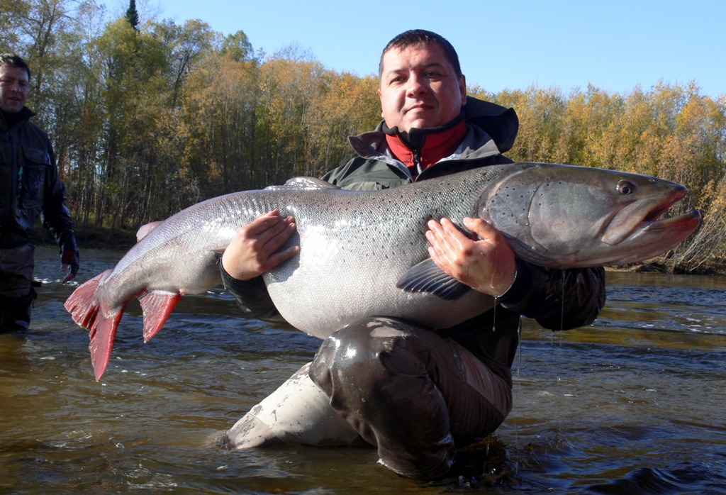 Chavanga Fish Blog: Khabarovsk Taimen fishing tour