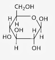 Ernæring, mat og kultur: Karbohydrat- Kroppens største energikjelde