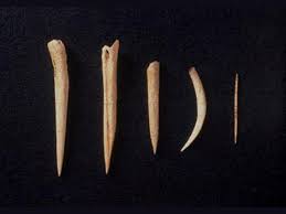 March 2016 ~ Social II