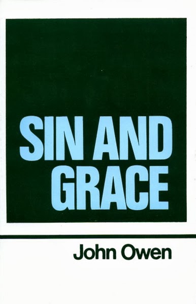 *Gospel-driven Disciples: Book Review: Sin and Grace
